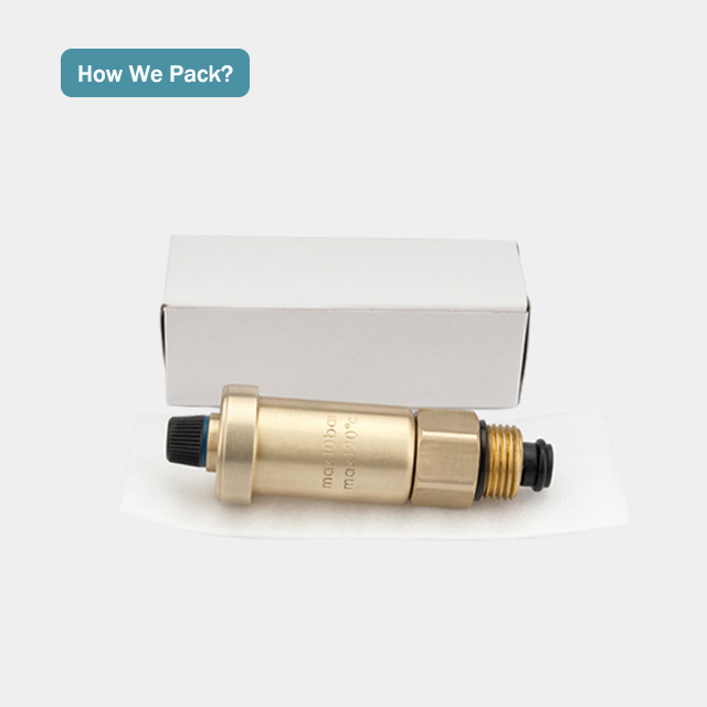 Automatic Air Vent Valve With Check Valve for Hydronic Heating Systems ...